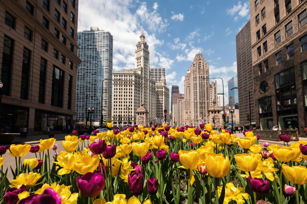 14 Famous US Streets That You Must Visit At Least Once In Your Lifetime ...