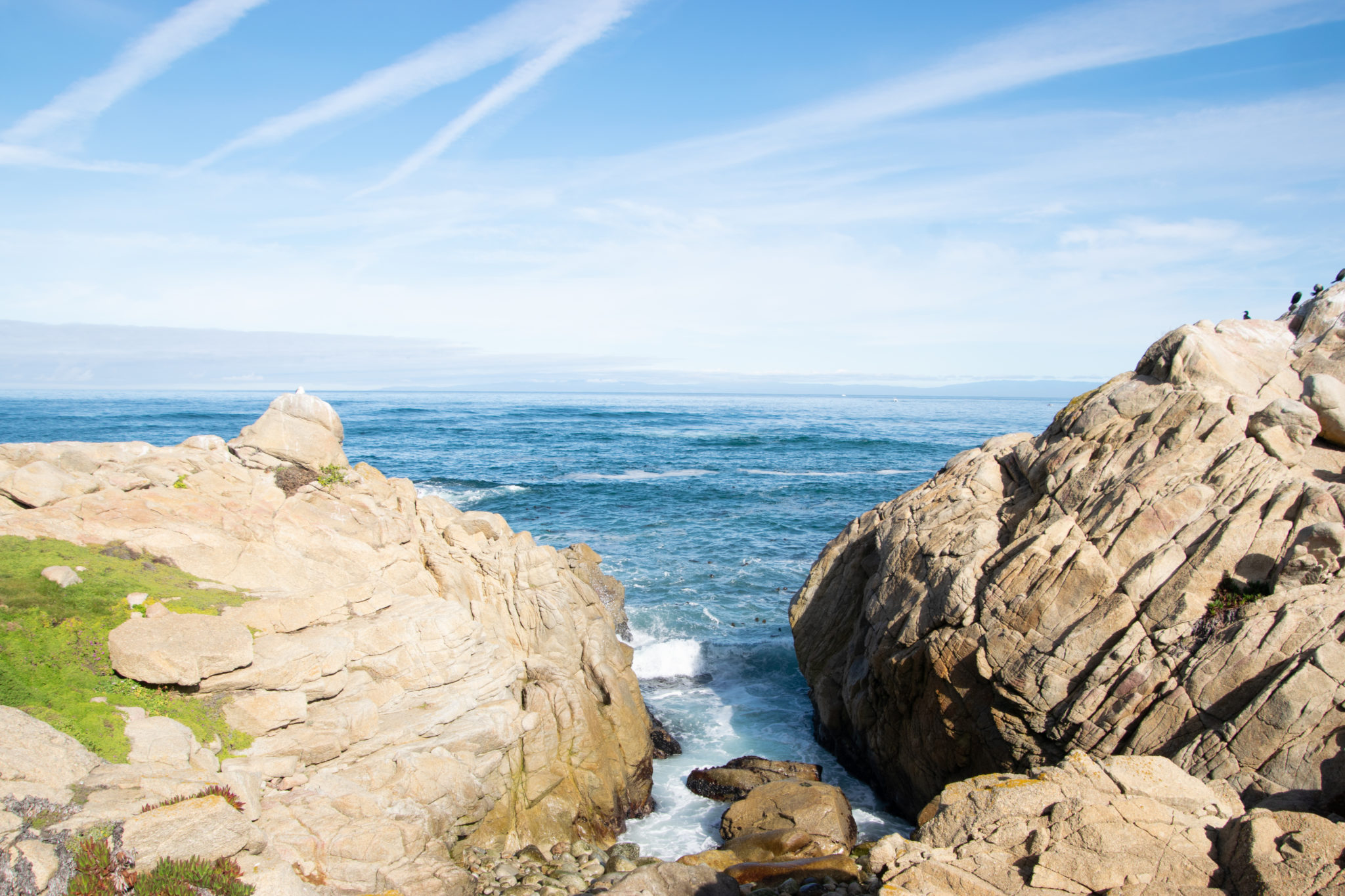 Exploring California's Famous 17-Mile Drive | Life Traveled In Stilettos